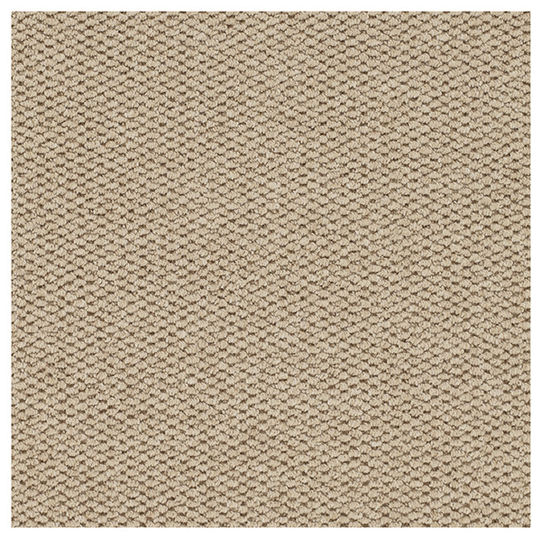 Capel Custom Inspire Serged 2018 Champagne Rug – Rugs Done Right