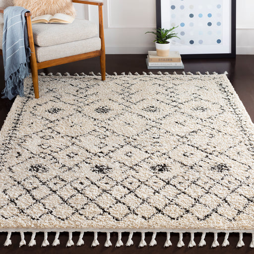 Surya Closeout Berber Shag BBE-2302 Beige Rug – Rugs Done Right