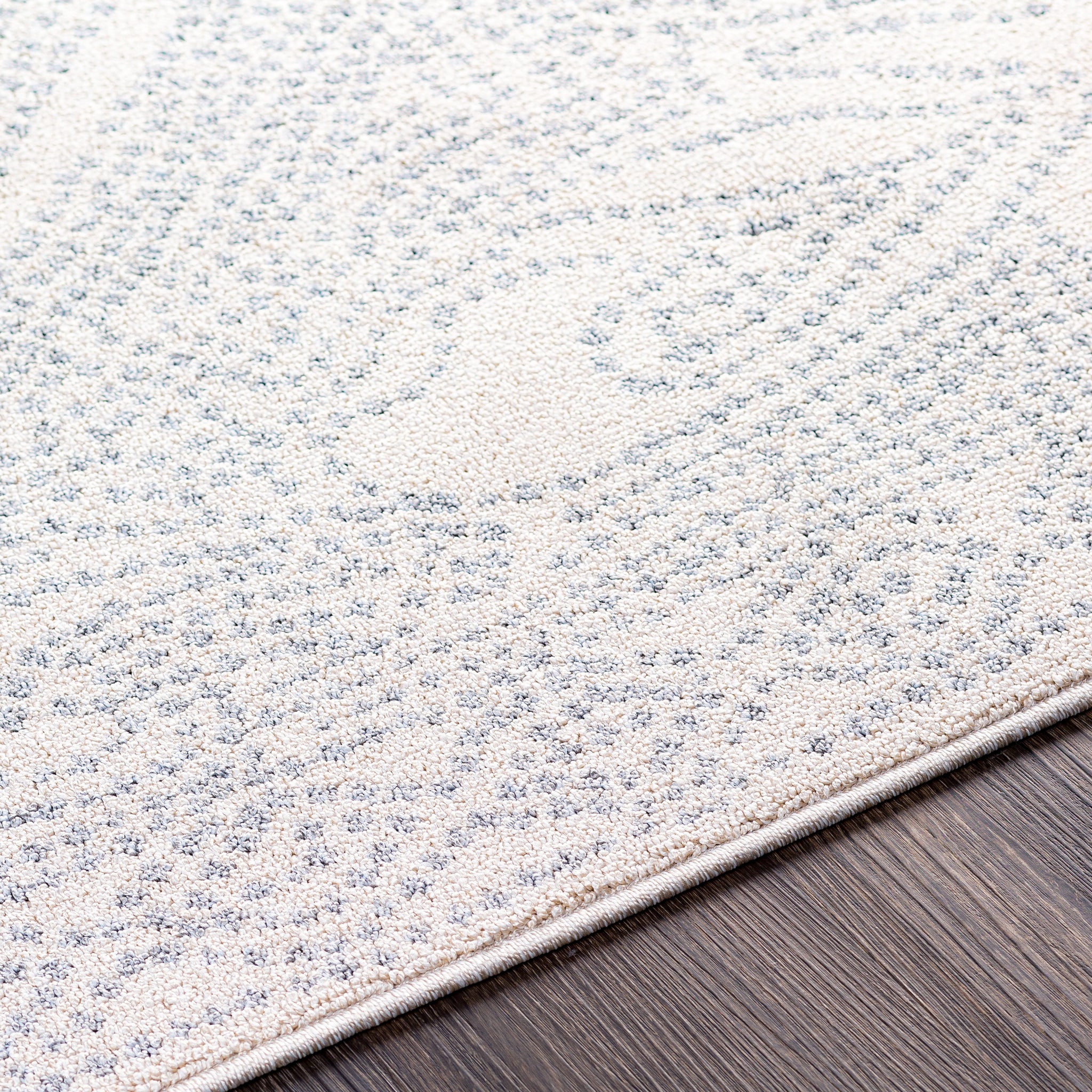 Surya Closeout Euphoria ERP-2309 Light Blue Rug – Rugs Done Right